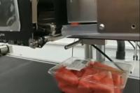 China Wood Packaging Material Labeling Machine for WPL9000 l Food Processing Weigh Barcode Scale for sale
