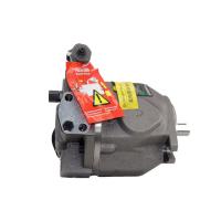 China A10VSO45DFR1/31R-PPA12N00 A10VSO45DFLR/31R-PPA12N00 Rexroth Hydraulpump for sale