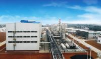 China Liquefied Natural Gas Processing Plant 48×104Nm3/D 2.5MPa for sale