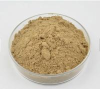 China Maize Gluten 60 Protein Corn Gluten Meal Powder for sale