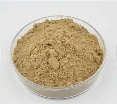 China Maize Gluten 60 Protein Corn Gluten Meal Powder for sale