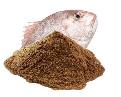 China 60 Protein Corn Gluten Meal Cat Food Fish Maize Gluten Feed Pellets for sale