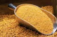 China 66071-96-3 Corn Gluten Meal Pellet Feed Sweet Dry Corn Spirulina Flat Fish 25kg for sale