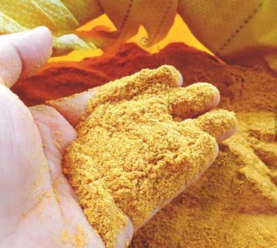 China CGM Corn Gluten Meal Feed Ingredient 60% Poultry Feed 66071-96-3 for sale