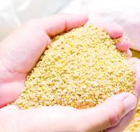 China Fish Feed Corn Gluten Meal Cgm Dog Food for sale