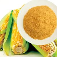 China Soybean Corn Gluten Meal Feed For Dogs Organic Plant Protein Yeast Powder for sale
