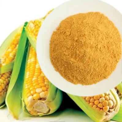 China Soybean Corn Gluten Meal Feed For Dogs Organic Plant Protein Yeast Powder for sale