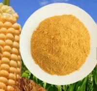 China Soybean Corn Gluten Meal Feed For Dogs Organic Plant Protein Yeast Powder for sale