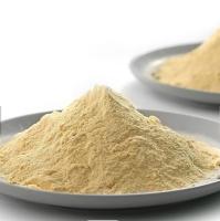 China Powdered Yeast Extract Powder 500g 1kg Brewers for sale