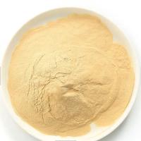 China Powdered Yeast Extract Powder 500g 1kg Brewers for sale