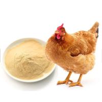 China Chicken Meal Powder Yeast Extract Powder Brewers Yeast Powder 60% for sale