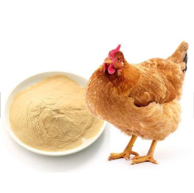China Chicken Meal Powder Yeast Extract Powder Brewers Yeast Powder 60% for sale