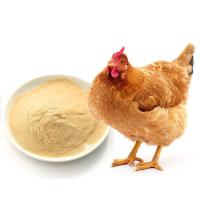 China Brewers Yeast Poultry Feed Grade Yeast CAS 8013-01-2 for sale