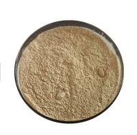 China Protein Yeast Feed Active Dry CAS Number 8013-01-2 for sale