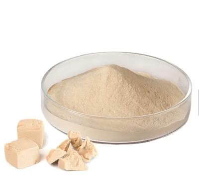 China 1kg Dry Yeast Powder Livestock Poultry Feed Grade Yeast Extract 2.5 Kg for sale