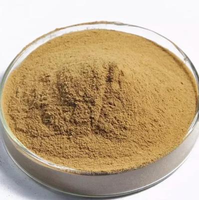 China Live Yeast Powder 1kg 500g Animal Livestock Feed Additive 55% 60% CAS 119-44-8 for sale