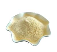 China Pea Mycoprotein Powder Single Cell Protein Poultry Animal Feed Additive for sale