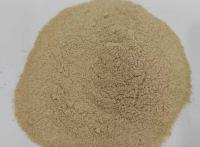China RPM Rice Protein Meal Bulk Brown Certified Organic Rice Based Protein Powder for sale