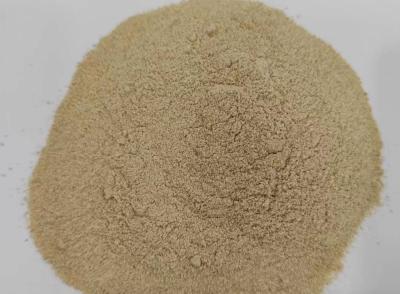 China RPM Rice Protein Meal Bulk Brown Certified Organic Rice Based Protein Powder for sale