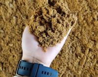 China Chicken Feather Meal Powder For Poultry Feed for sale