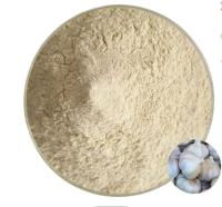 China Horse Feed Additives High Purity Allicin In Garlic Powder 5% for sale