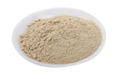 China Pure Amino Acids Powder 100% Natural Organic Plant Source Chloride Free 60% for sale