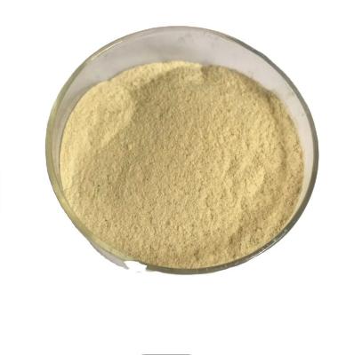 China Yeast Powder for Animal Feed with Plant Protein Feed Characteristics for sale