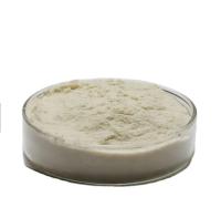 China 45% Organic Amino Acid Powder Cas Number 56-40-6 Fertilizers for sale