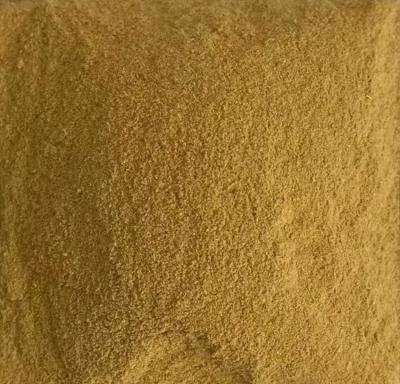 China Protein Mycoprotein Raw Material For Fish Feed Animal Feed Cattle for sale