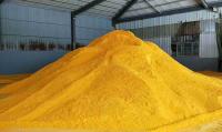 China Corn Gluten meal with cp 60 for poultry feed for sale