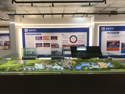 China 1:150 Scale University Campus Architectural Model with LED Lighting and Custom Base - 30 Day Production for sale