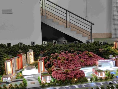 China Guangdong South Technician College Campus Architectural Model - 30 Day Production, Custom Scale Educational Display for sale