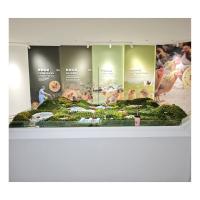 China National Qingyuan Chicken Germplasm Base 1:100 Scale Miniature Sandbox Model for Ecological Livestock Resource Planning for sale