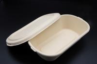 China Sugarcane Eco Friendly Biodegradable Plates Food Packaging 1100ml Custom Logo for sale