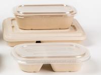 China Takeaway Biodegradable Disposable Dinnerware / Sugarcane Pulp Containers for sale