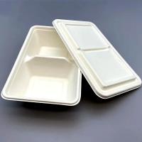 China 100% Biodegradable Disposable Dinnerware Compostable Sugarcane Food Container for sale