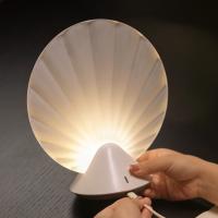 China High Quality Good Price Adjustable Desk Sunrise Night Light For Kids With Color-Changing Led And Timer for sale