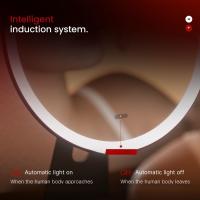 China High-Definition Infinitely Dimmable LED Mirror Intelligent Light with High Color Rendering Manual Adjustment for Birthday Gift for sale
