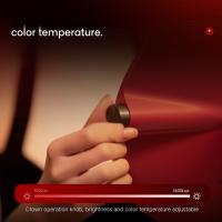 China High-Definition Infinitely Dimmable LED Mirror Intelligent Light with High Color Rendering Manual Adjustment for Birthday Gift for sale