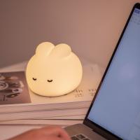 China Small Size Led Bedroom Night Light with Dimmable Touch Control and Color-Changing for sale