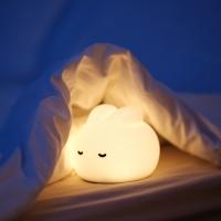 China Dream rabbit emotion led night light lamp Timing LED Night Light USB Rechargeable lamp Adjustable Brightness Cute Bedroom Lamp for sale