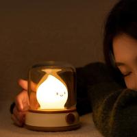 China USB Rechargeable Timable LED Night Light Retro Kerosene Lamp Bedside Lamp Silicone Candle Light Small 60 Modern USB DC 5V Ltd. for sale