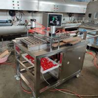 China Hotels Small Commercial Confectionery Hard Jelly Lollipop Gummy Candy Making Machine for sale