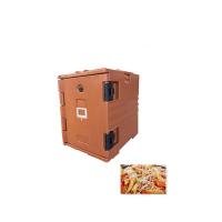 China Customized Color Pan Carrier Transport Box for Fast Food Hot Food and Vegetable Salad for sale