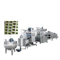 China Candy Making Simplified Lollipop Electricity Gummy Candy Automatic Production Line for sale