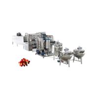 China 220V Voltage Automatic Gummy Machine for Gummy Bear Candy Making in Food Beverage for sale