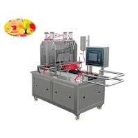 China 20-50kg/h Production Capacity Gummy Candy Maker Machine with Gelatin Raw Material for sale
