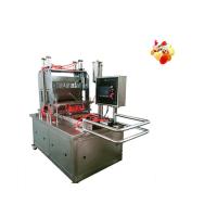 China 20-50kg/h Sour Blueberry Gummy Candy Machine for Retail Sale Jelly Candy Production for sale