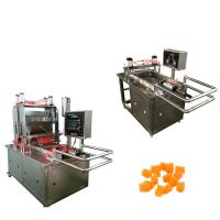 China Stainless Steel Raspberry Banana Gummy Depositing Machine for Fast Jelly Candy Making for sale