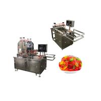 China Depositing Sugar Double Colors Gummy Machine Hamburg Pizza Jelly Candy Making Machinery for sale